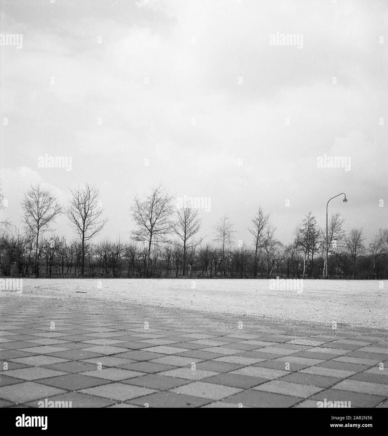 Urban greenery green trees Black and White Stock Photos & Images - Alamy