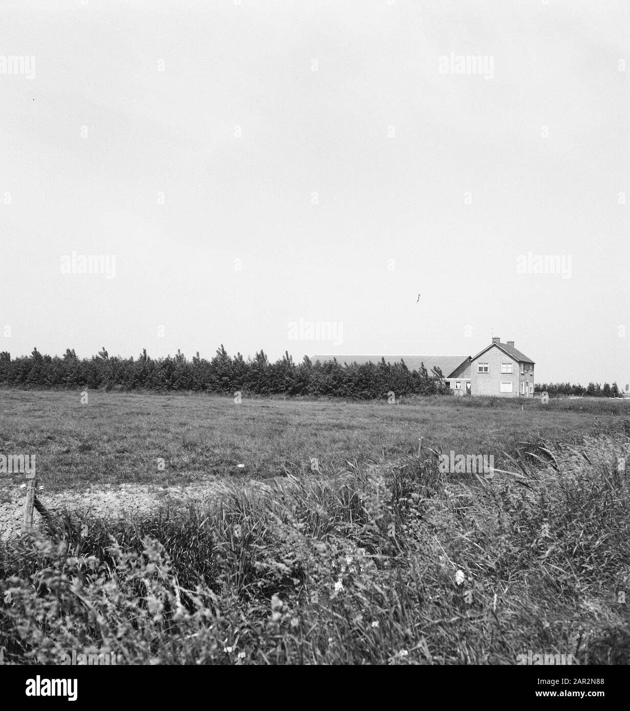 meadows, shrubs, buildings, farms Date: undated Keywords: farms ...