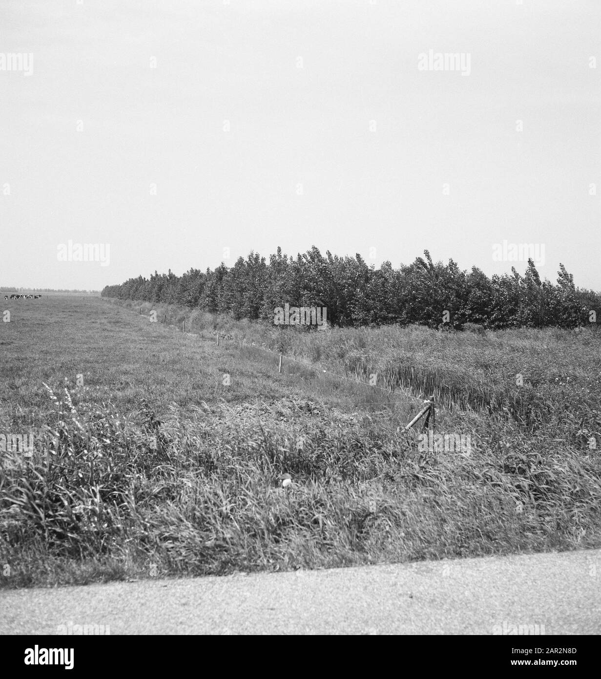 meadows, shrubs, trees, overviews Date: undated Keywords: trees ...