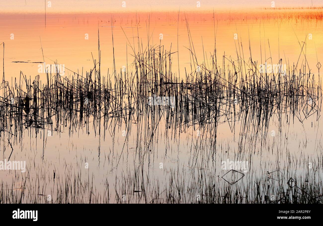 Chincoteague National Wildlife Refuge at Sunset, Virginia, USA. Photo ...