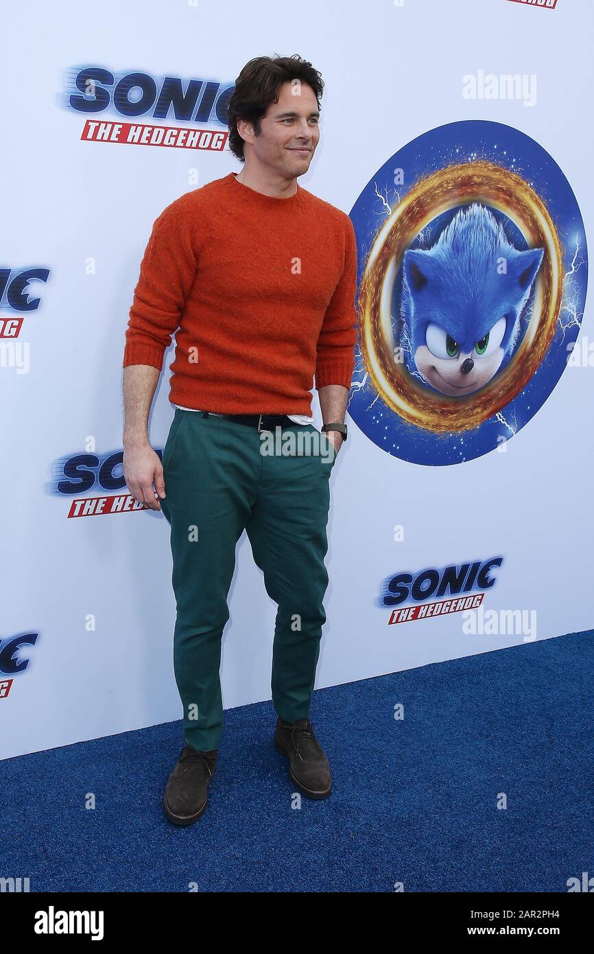 Los Angeles, USA. 25th Jan, 2020. James Marsden attends the LA Premiere ...