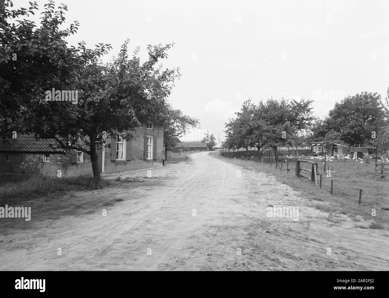 lands, roads, trees, farms Date: undated Keywords: farms, trees, land ...