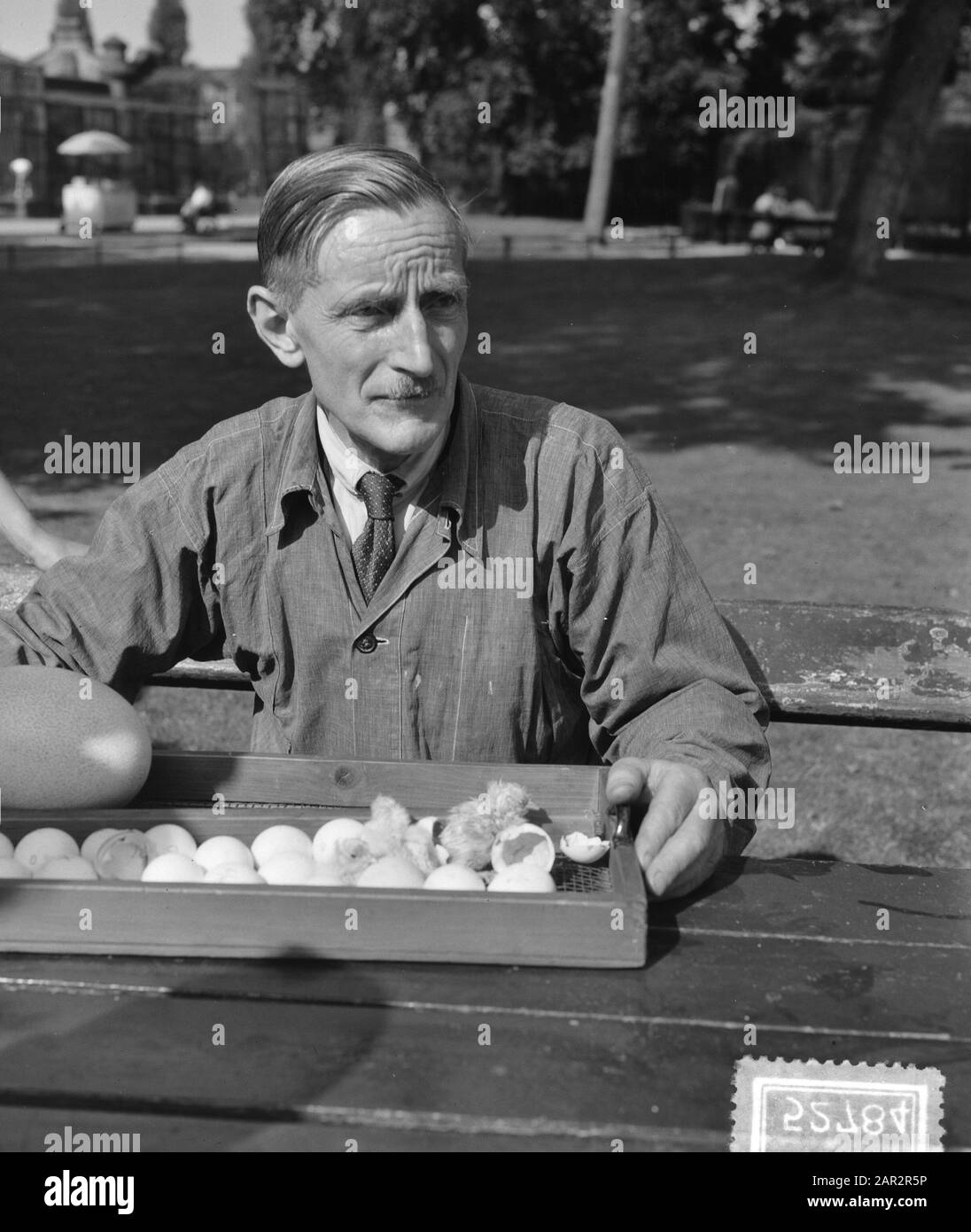 Batman Van Cologne 50 years in Artis Date: 26 August 1952 Institution ...