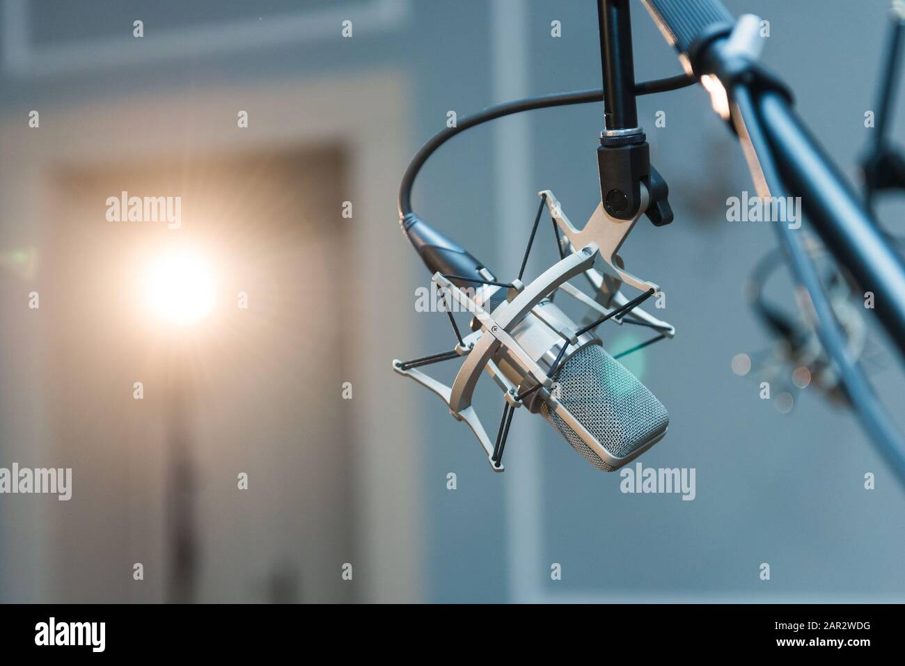 A professional silver condenser microphone mounted on a black tripod ...