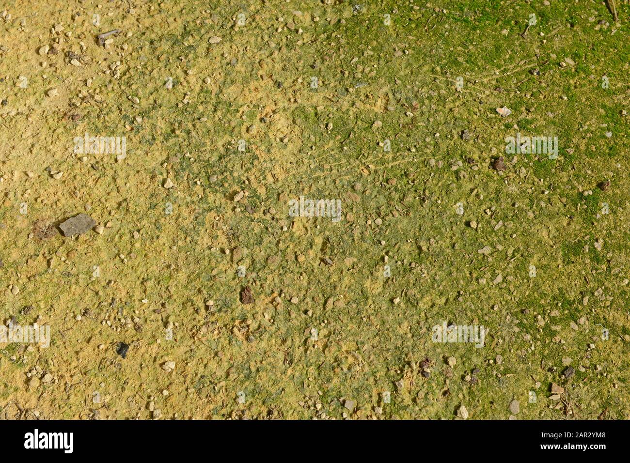 Pockmark hi-res stock photography and images - Alamy