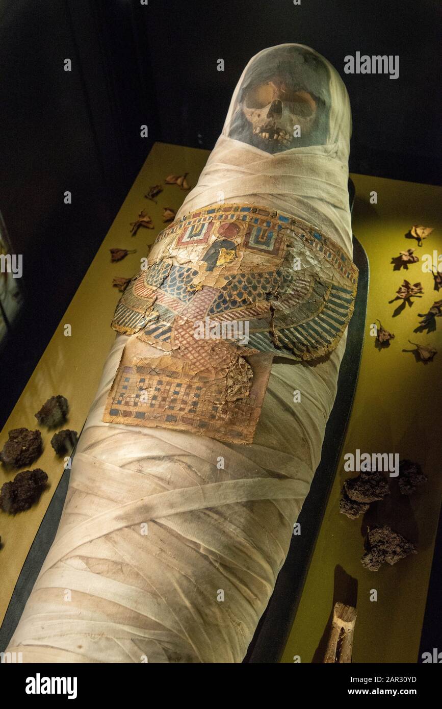 Old kingdom mummy hi-res stock photography and images - Alamy