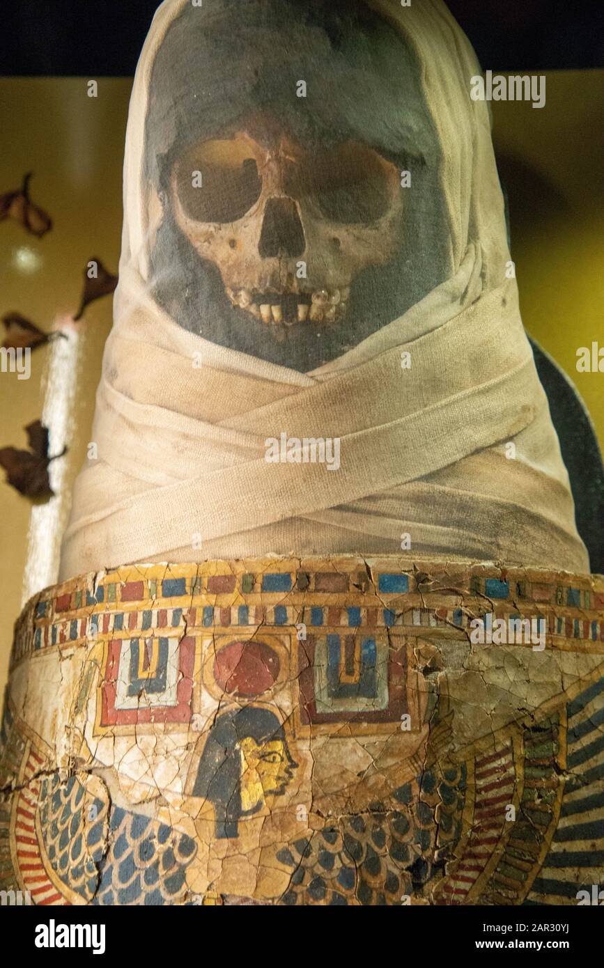 Mummy museum hi-res stock photography and images - Alamy