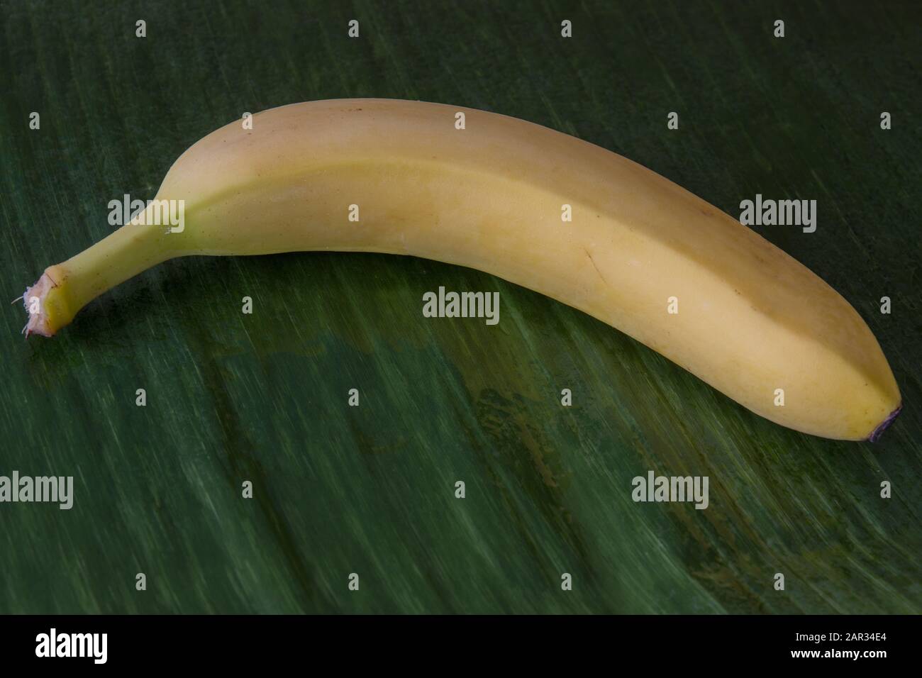 One green banana leaf hi-res stock photography and images - Alamy