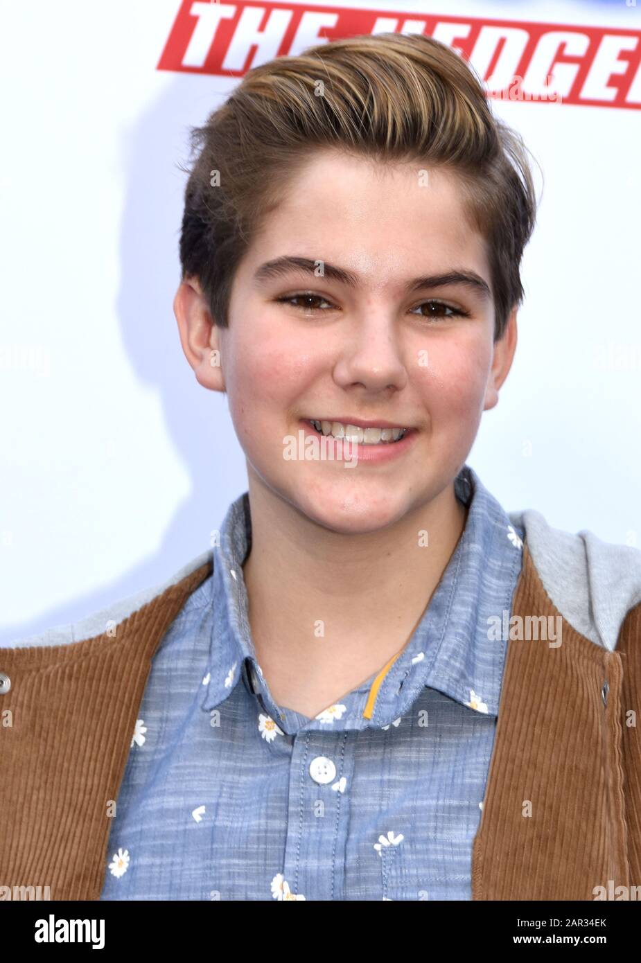 Los Angeles, California, USA 25th January 2020 Actor Declan Chambers ...