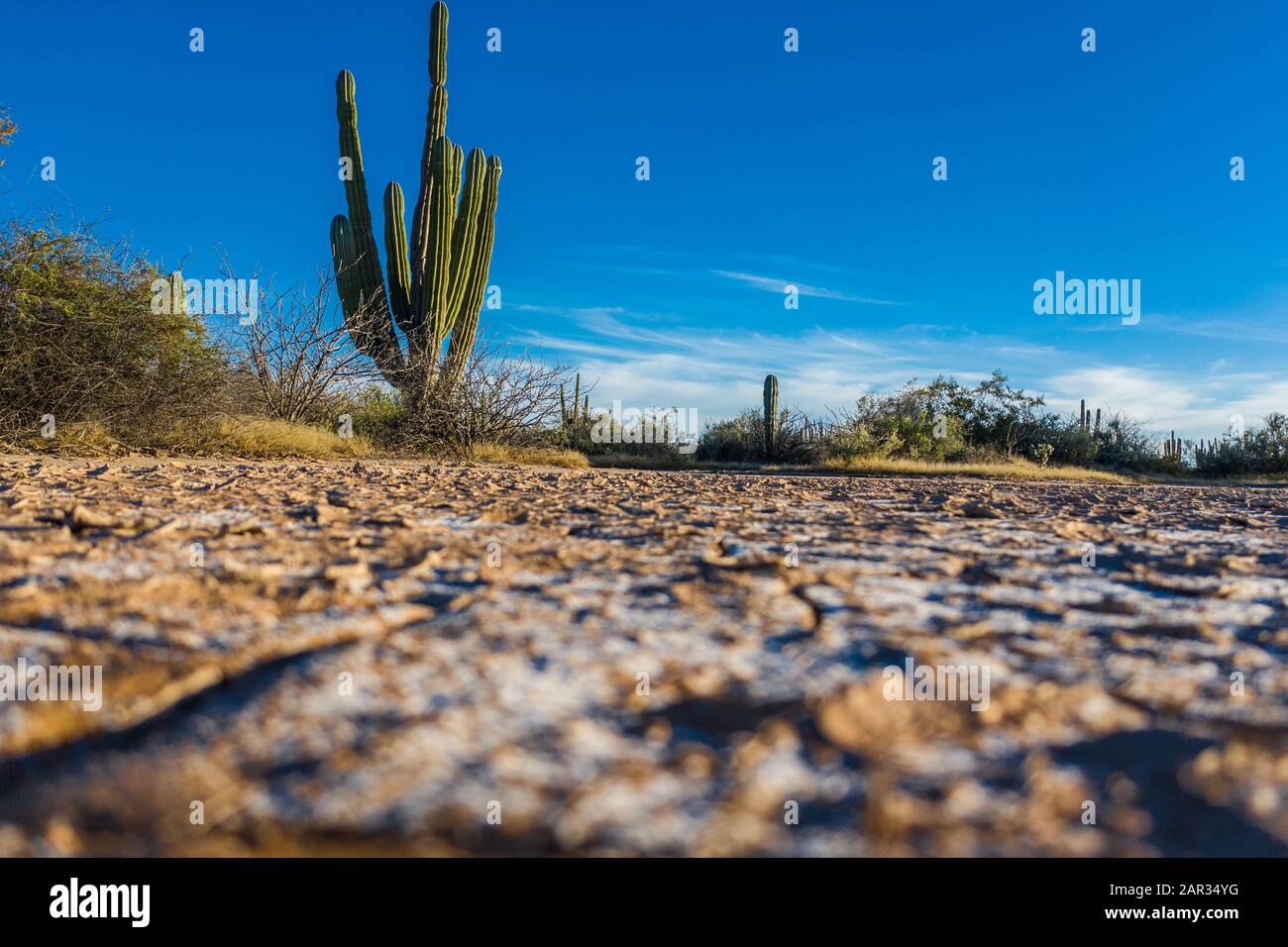 Aerial view of quartered soil of the San Nicolas desert in the ...