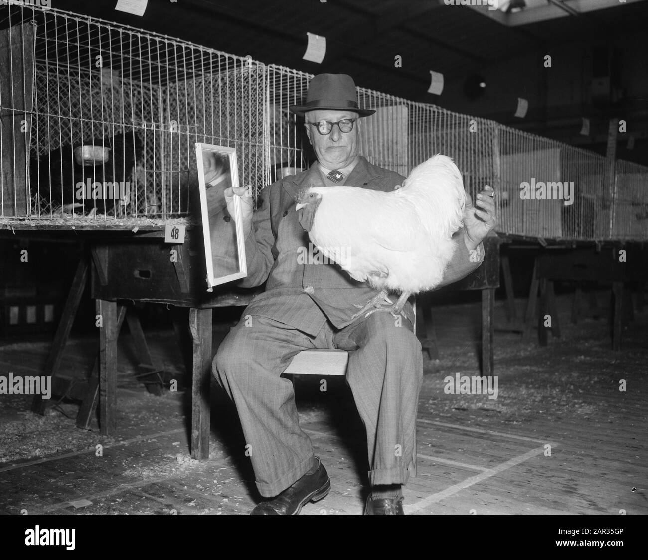 Poultry exhibition rai hi-res stock photography and images - Alamy