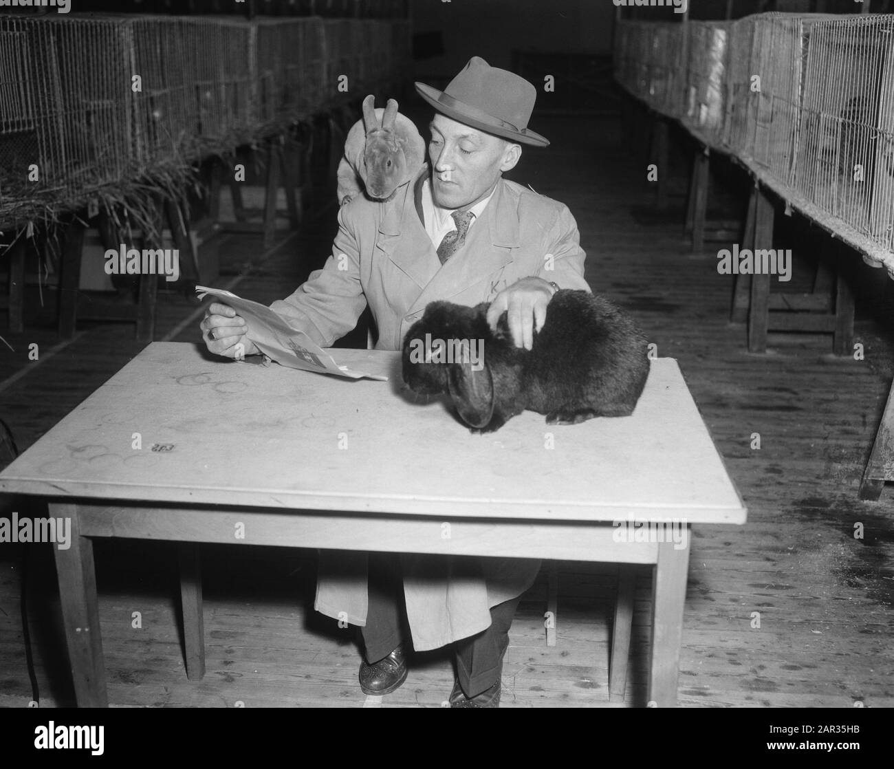 Poultry exhibition rai hi-res stock photography and images - Alamy