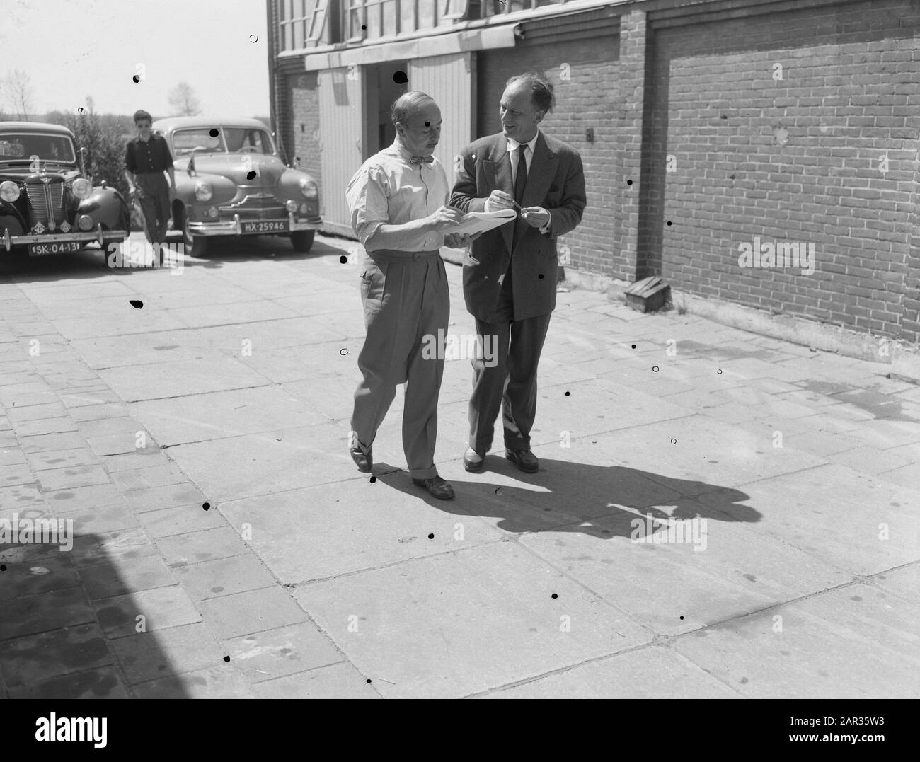 Staudte hi-res stock photography and images - Alamy