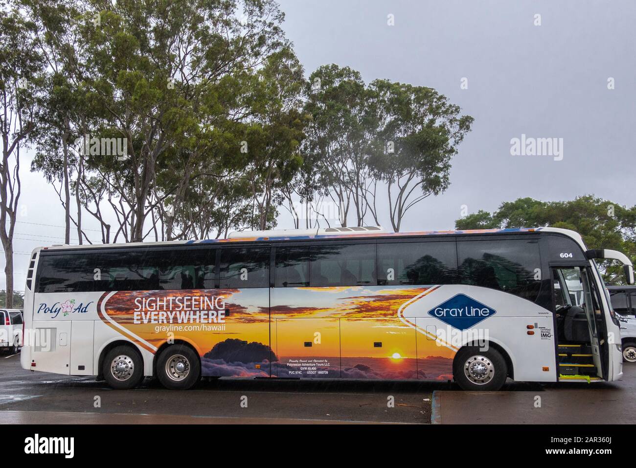 Oahu, Hawaii, USA. - January 09, 2020: closeup of white sightseeing ...