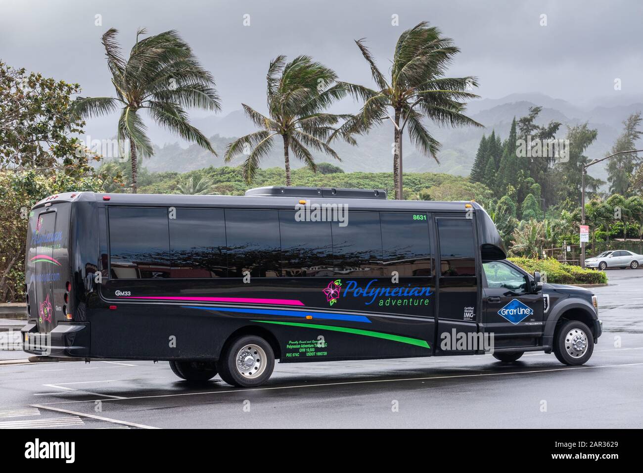 Oahu, Hawaii, USA. - January 09, 2020: closeup of short black ...