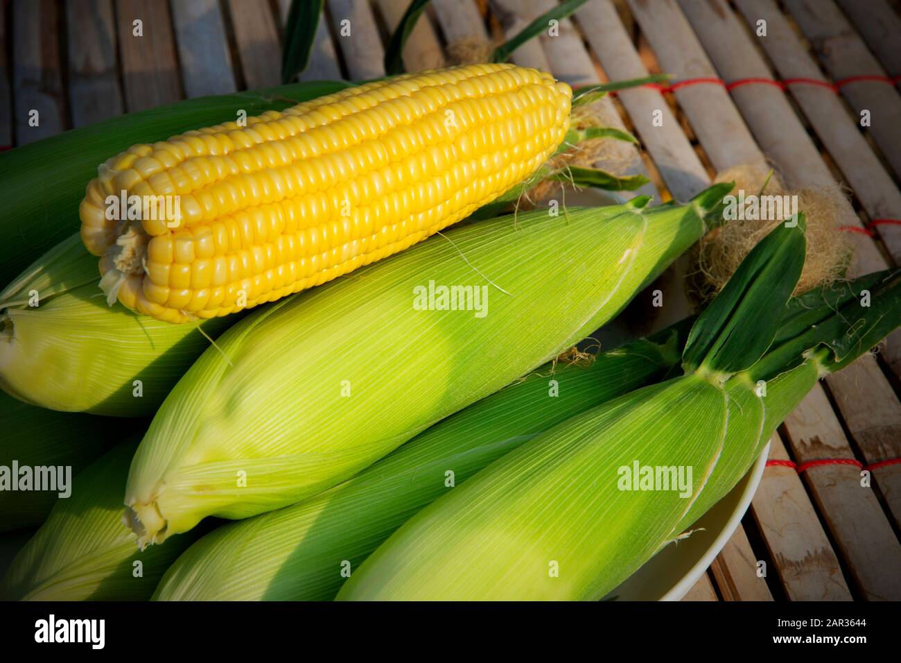 Sweet corn which is produced from organic agricultural farms in nature ...