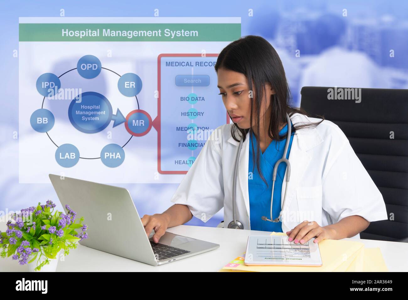 Female doctor working on hospital management system Stock Photo - Alamy