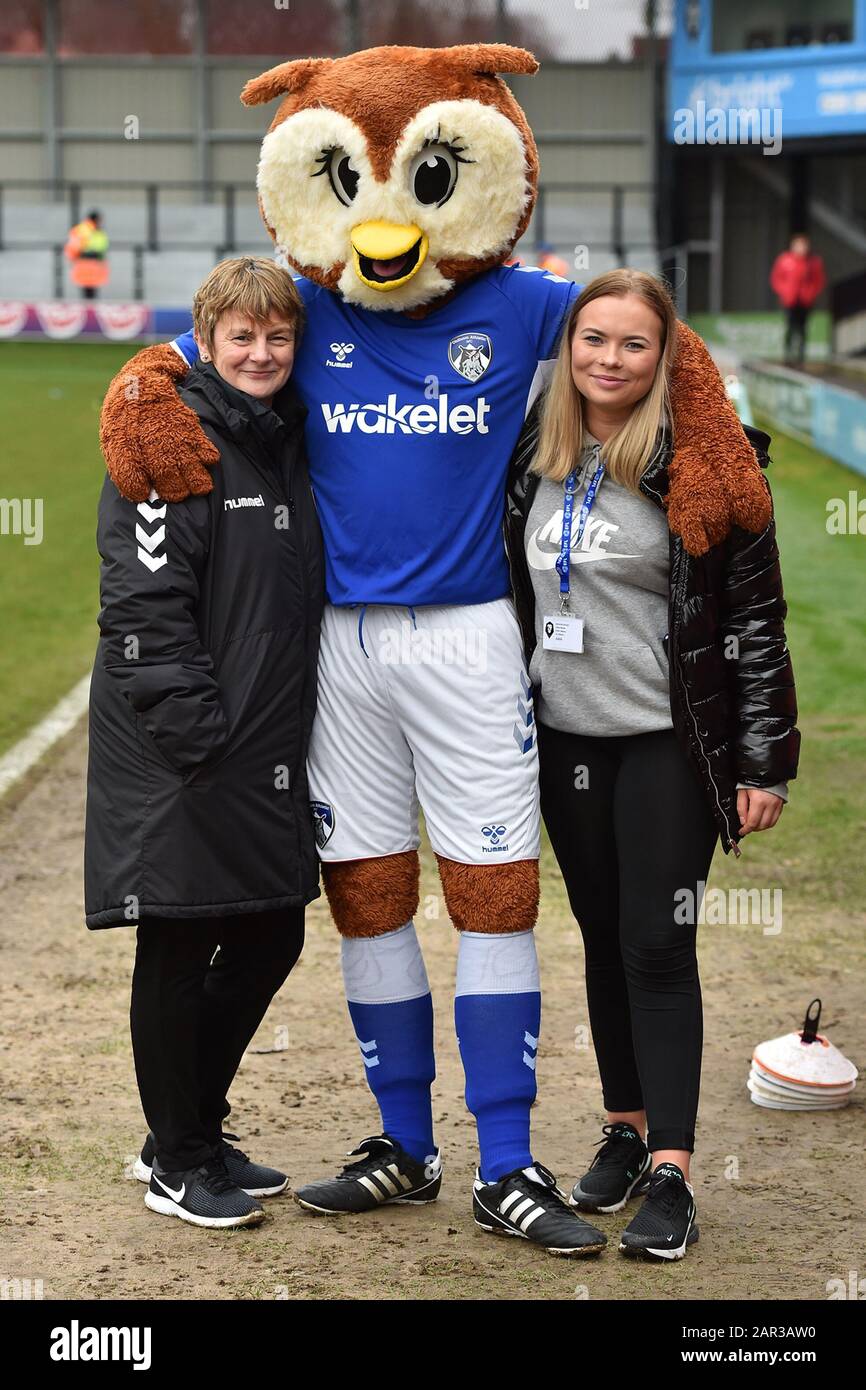 Oldham owl hi-res stock photography and images - Alamy