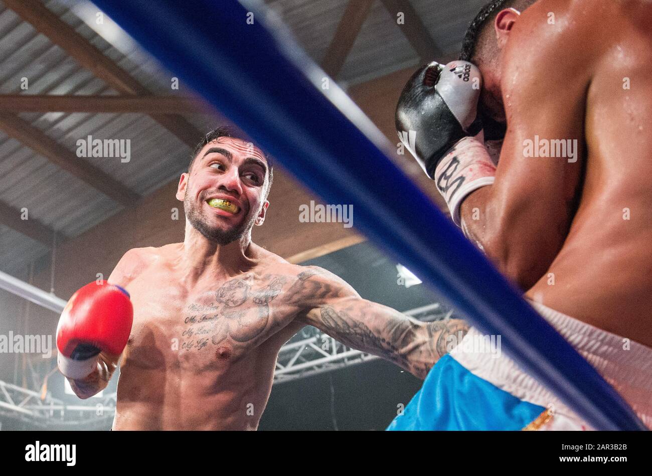Hamburg, Germany. 25th Jan, 2020. Boxing: Professionals, International ...