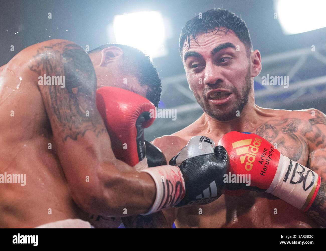Hamburg, Germany. 25th Jan, 2020. Boxing: Professionals, International ...