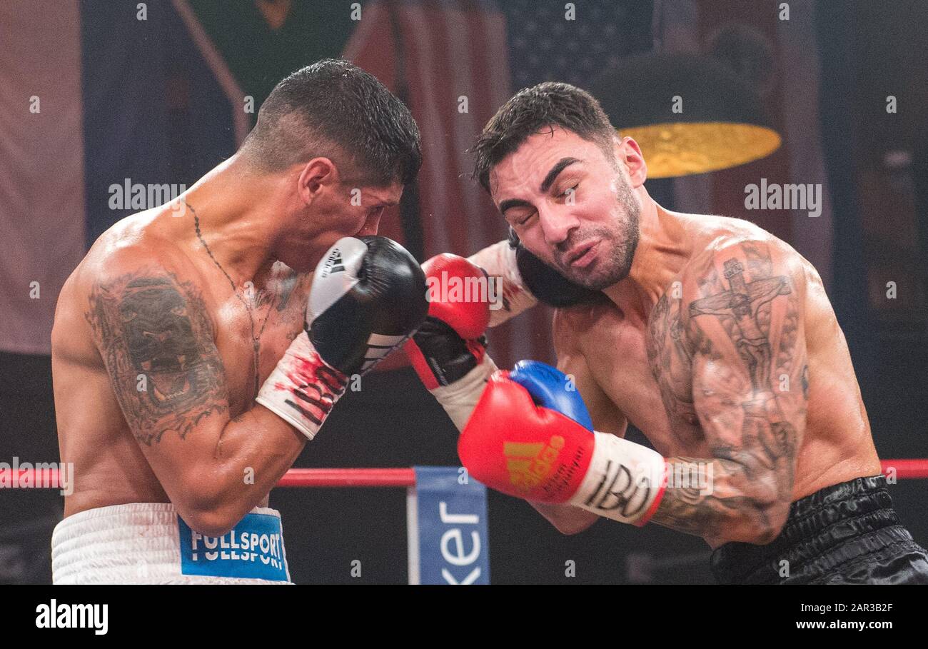 Hamburg, Germany. 25th Jan, 2020. Boxing: Professionals, International ...