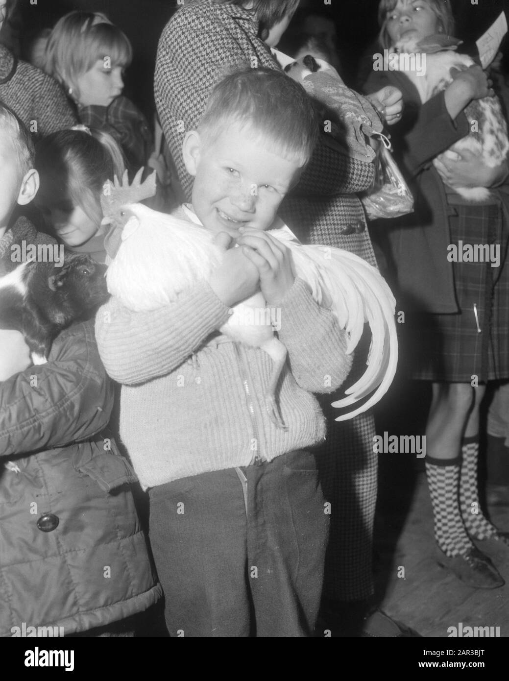 Boy with a rooster Black and White Stock Photos & Images - Alamy