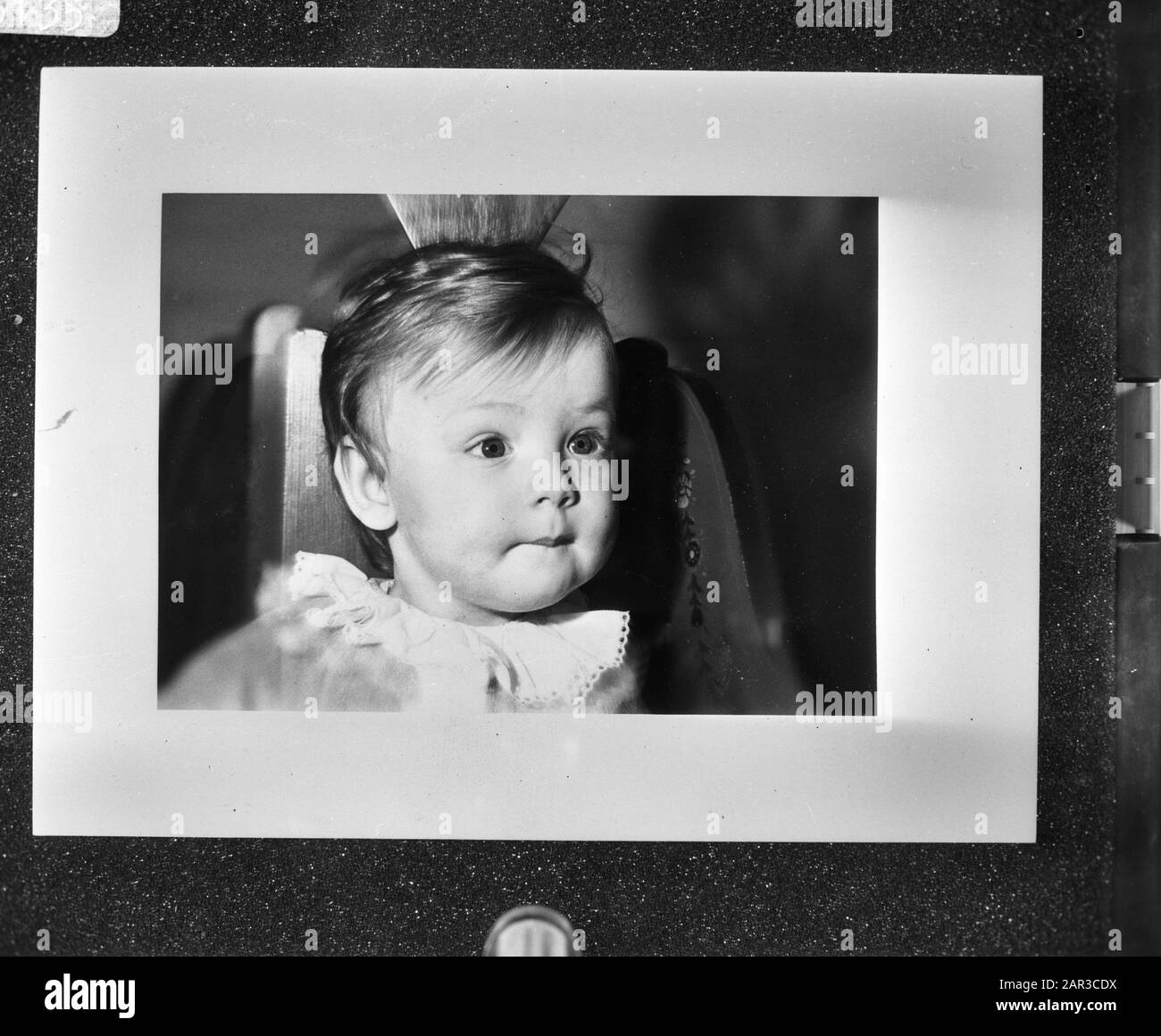 Princes floris hi-res stock photography and images - Alamy