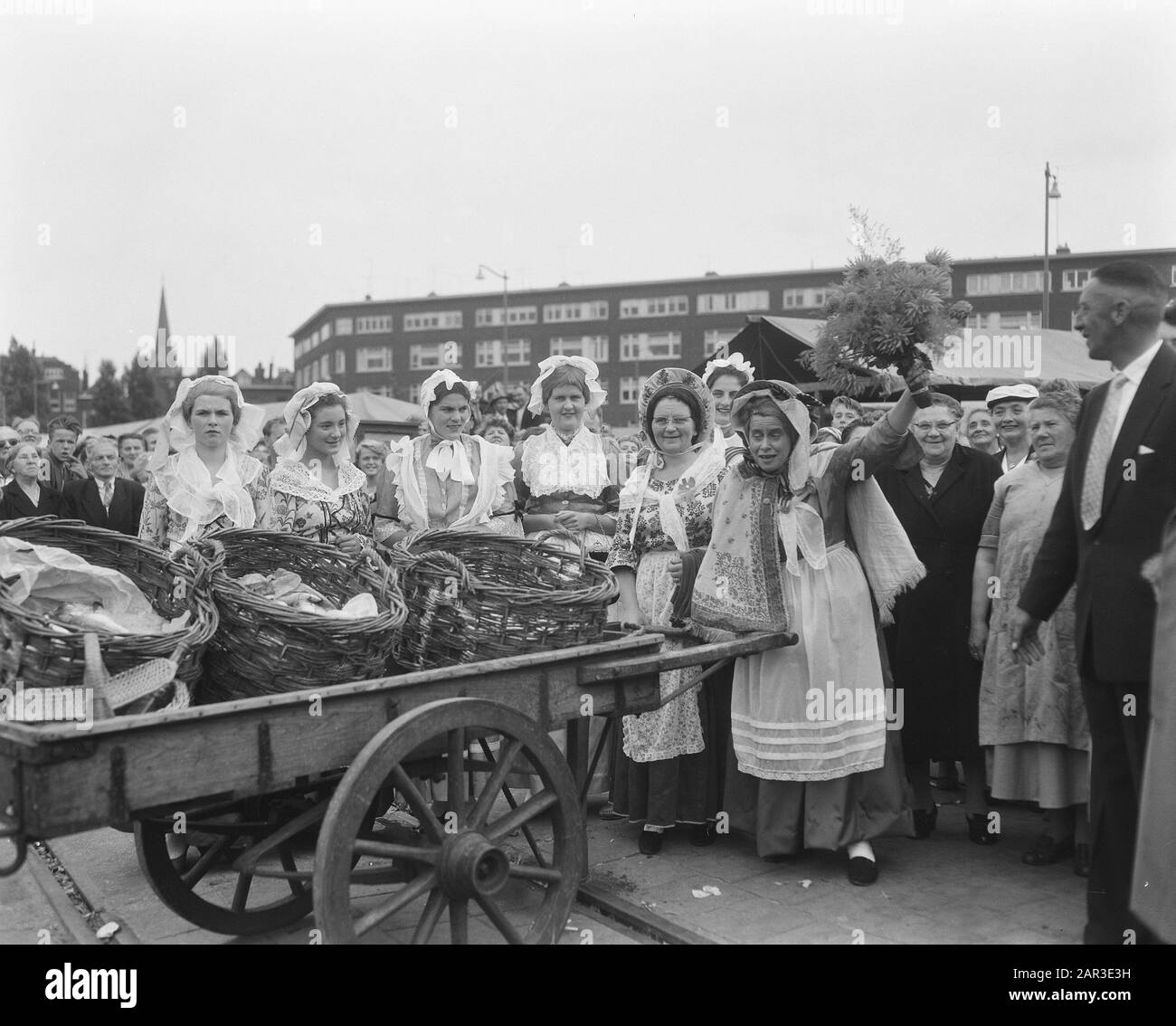 Oysters mussels Black and White Stock Photos & Images - Alamy