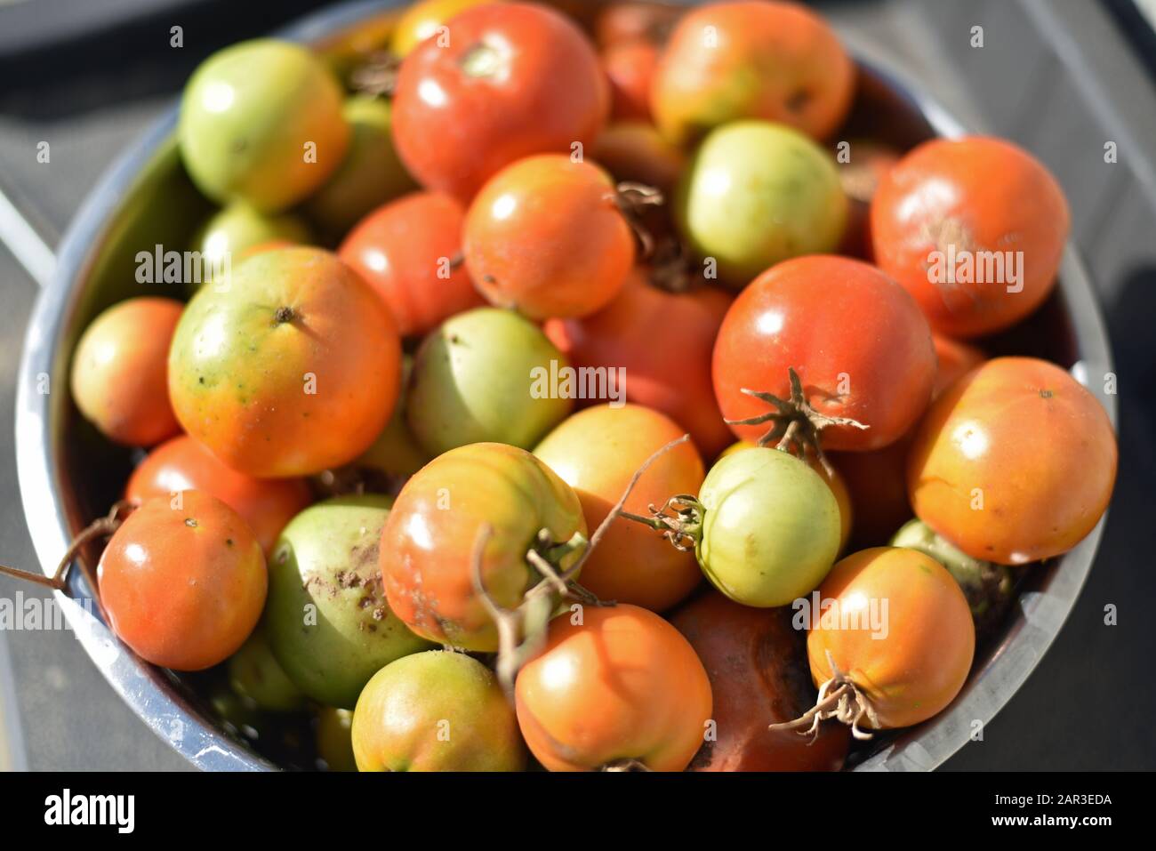 Tomatoes in a Window Sill Stock Photo - Alamy