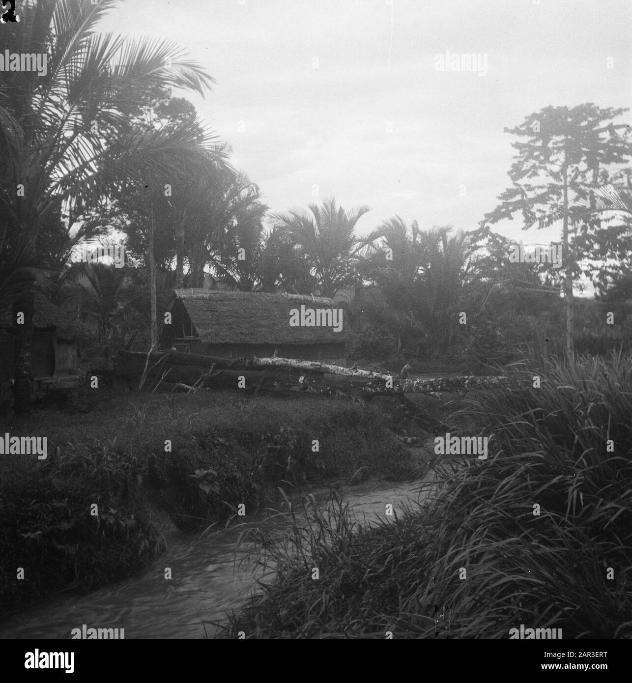 Namlea.Island Buru. Moluccas. View of a kampong Date: 1947/01/01 ...