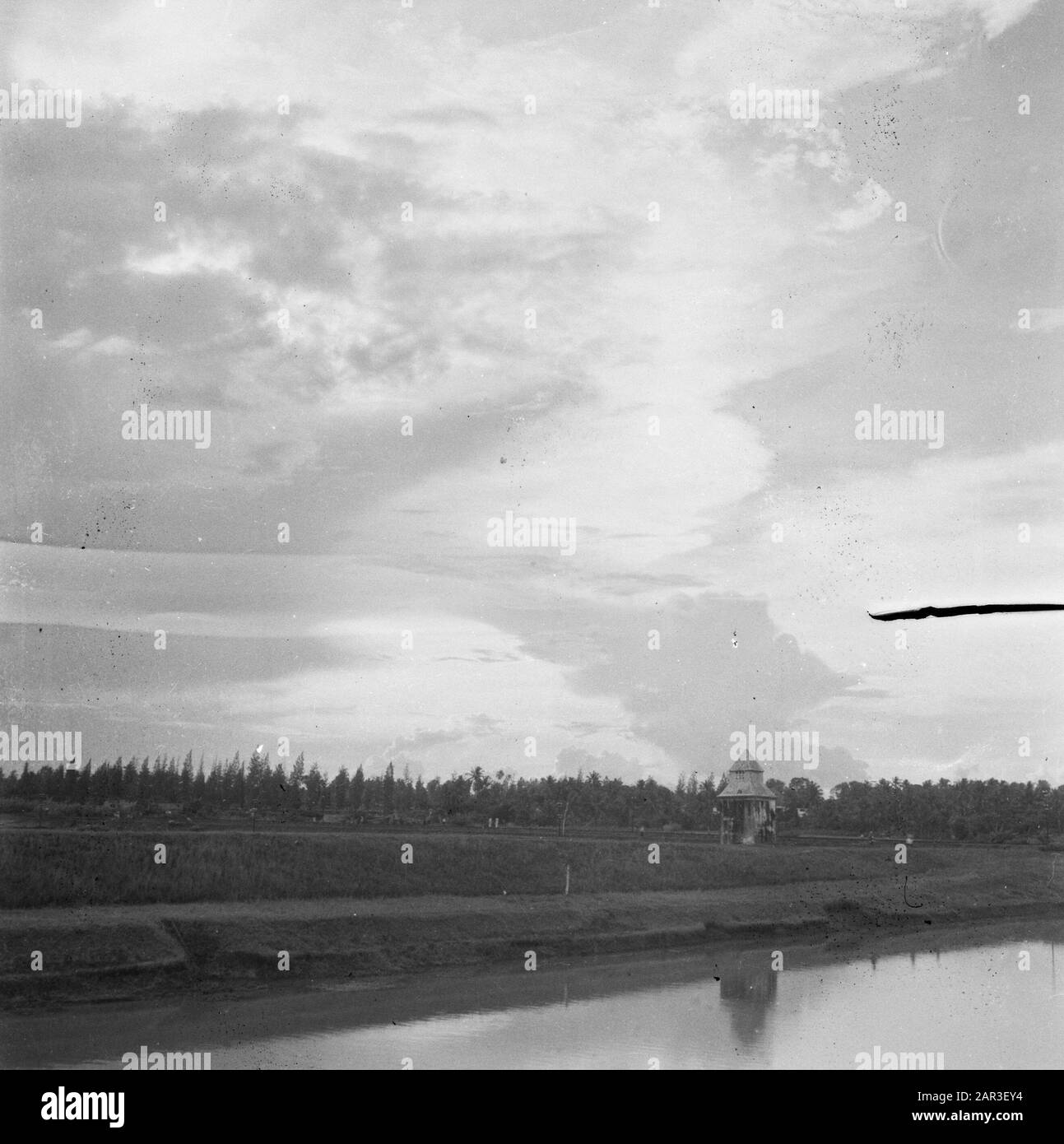 Rice field view Black and White Stock Photos & Images - Alamy