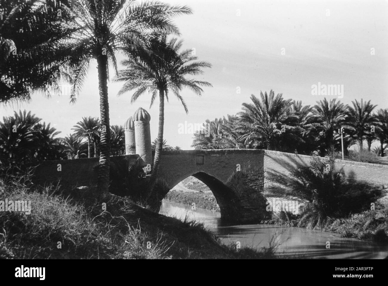 palm trees, bridges Date: undated Keywords: bridges, palm trees Stock ...