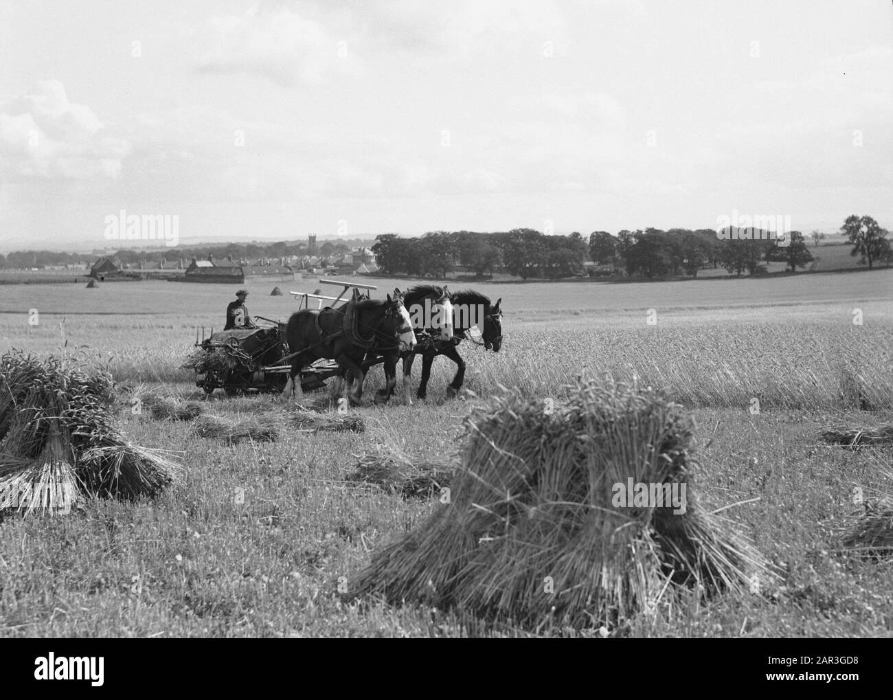 Crop agriculture arable farming Black and White Stock Photos & Images ...
