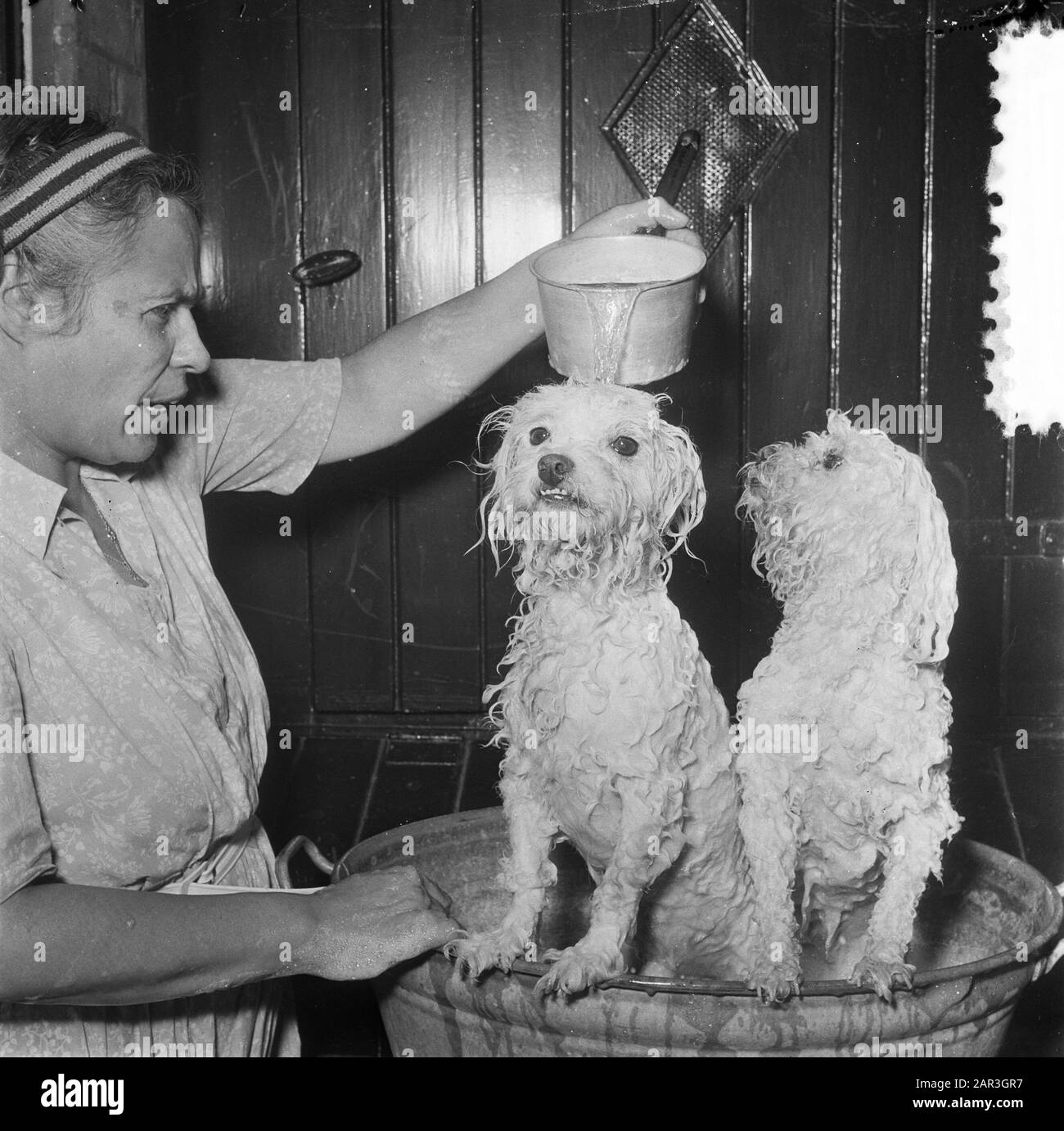 Pictures of summer Black and White Stock Photos & Images - Alamy