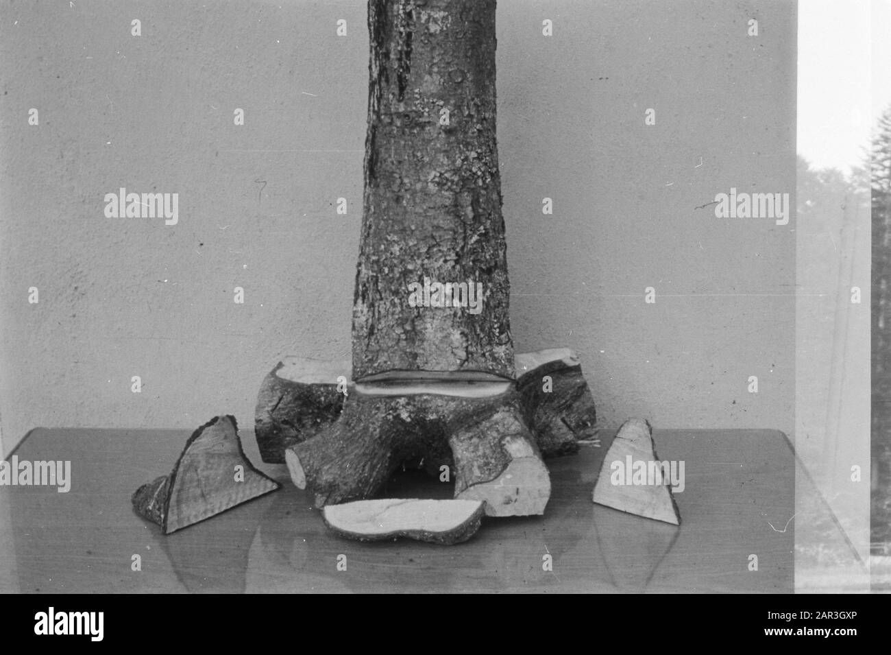 Forestry blocks hi-res stock photography and images - Alamy