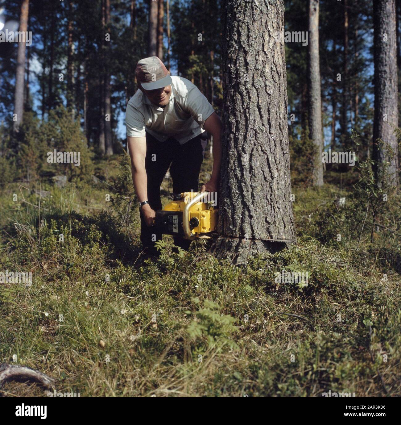 Wood picking at Kuopio, center Finland Date: undated Keywords ...