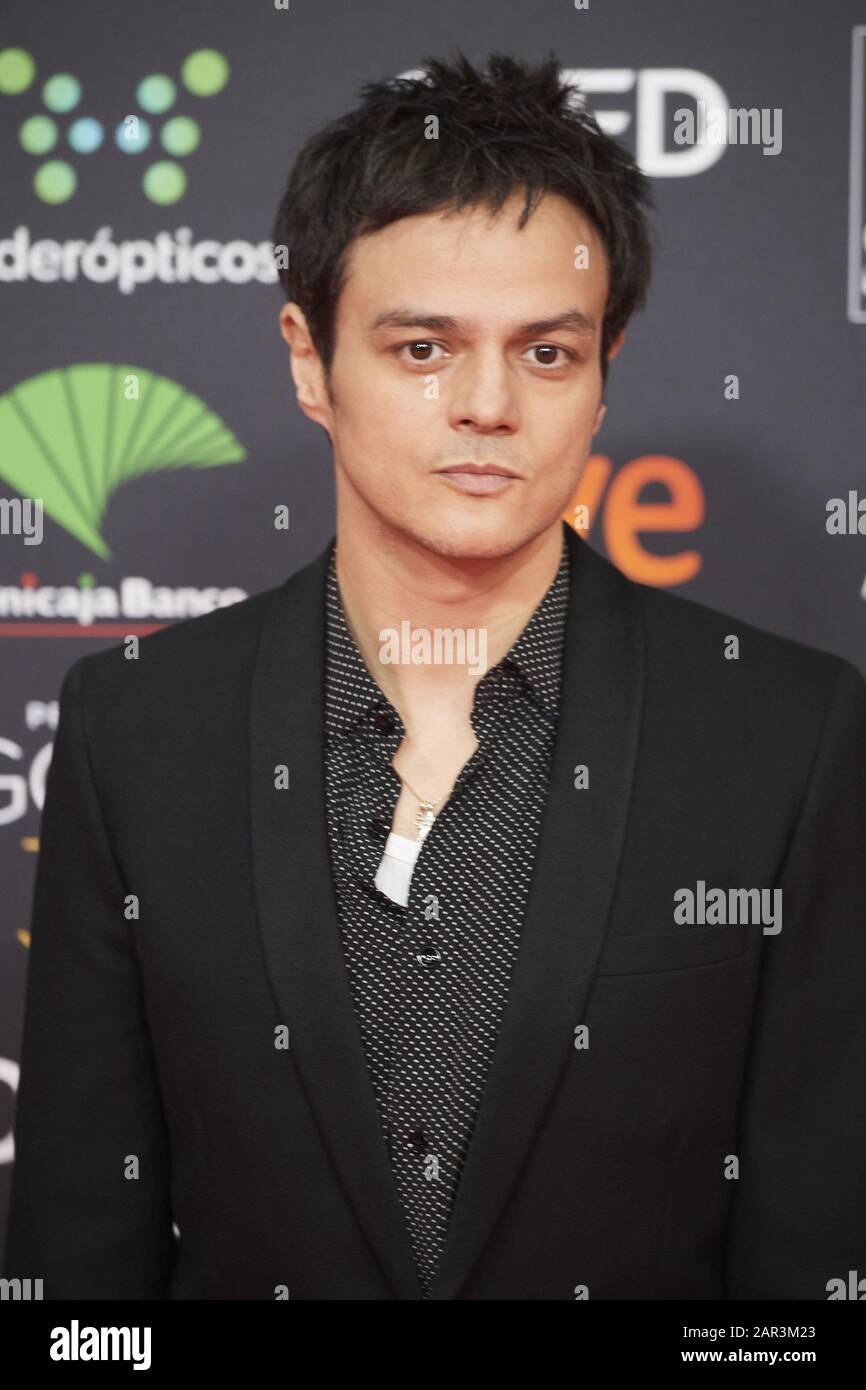 January 25, 2020, Malaga, Andalucia, Spain: Jamie Cullum attends 34th ...