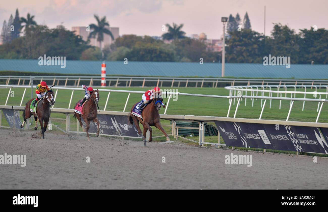 Gulfstream park photos hi-res stock photography and images - Alamy