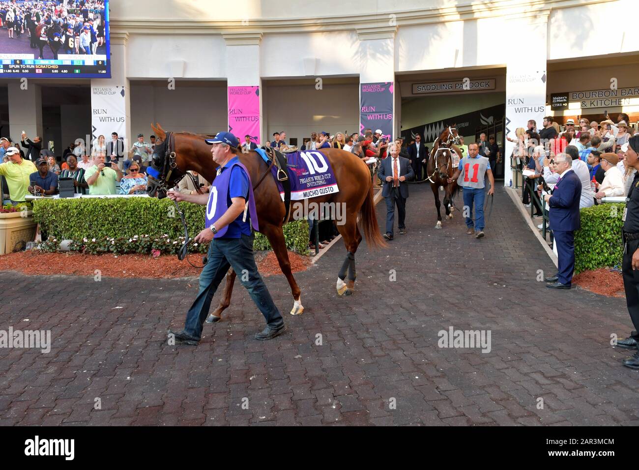 Gulfstream park photos hi-res stock photography and images - Alamy