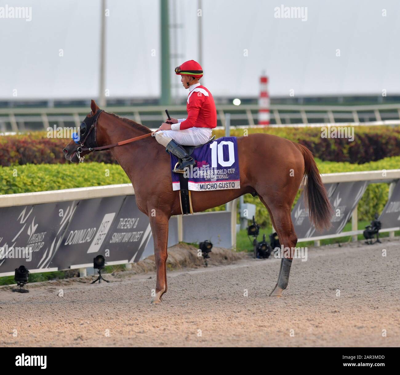 Gulfstream park photos hi-res stock photography and images - Alamy