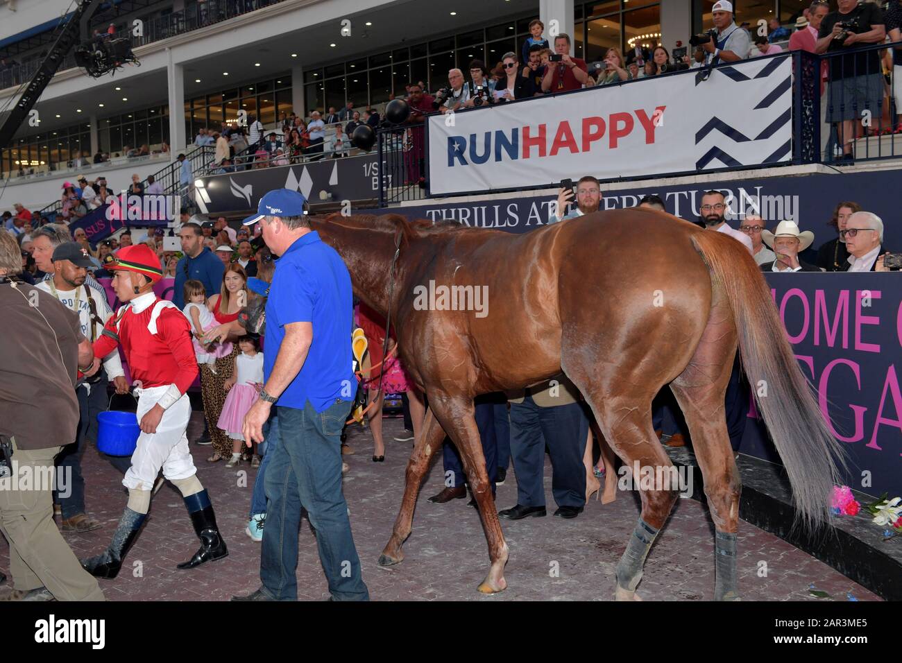 Gulfstream park photos hi-res stock photography and images - Alamy