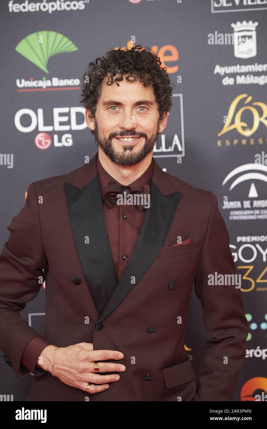 January 25, 2020, Malaga, Andalucia, Spain: Paco Leon attends 34th Goya ...