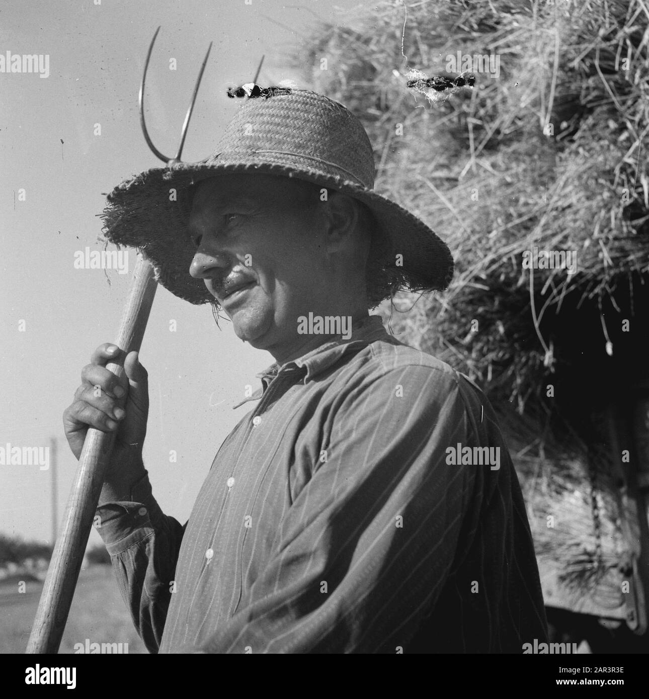 Dutch farmers are going to set up a business in France World War II ...