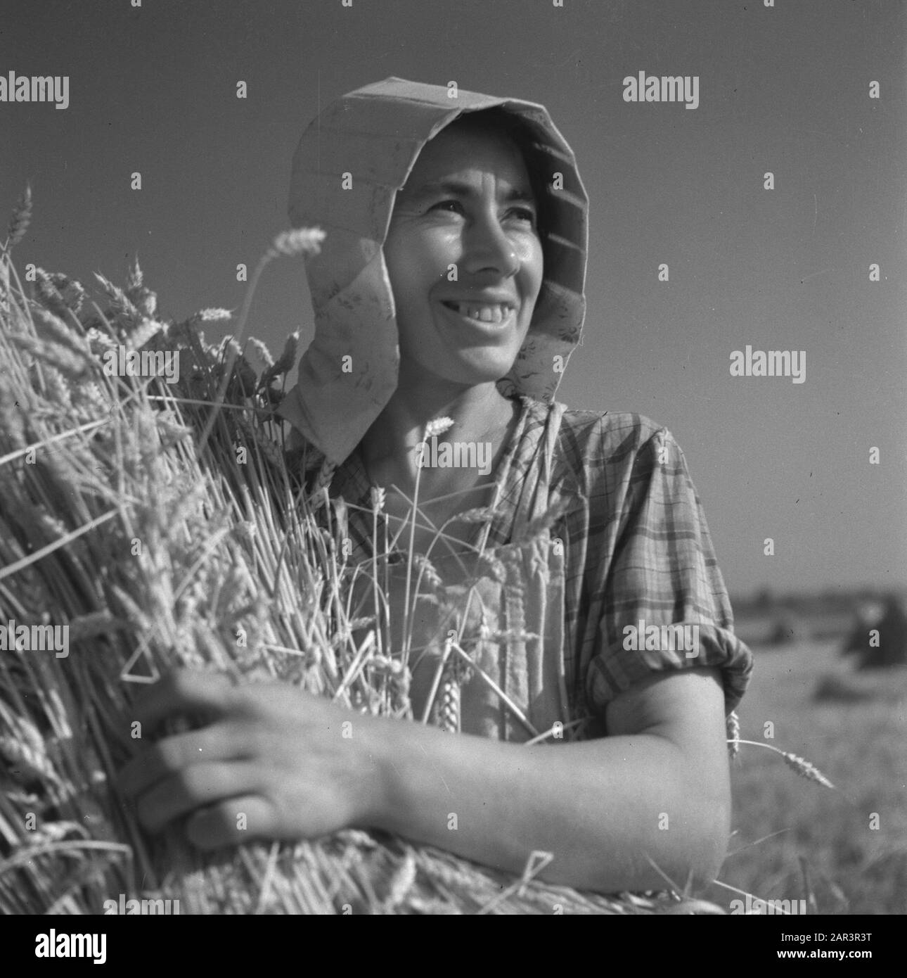 Dutch farmers are going to set up a business in France World War II ...