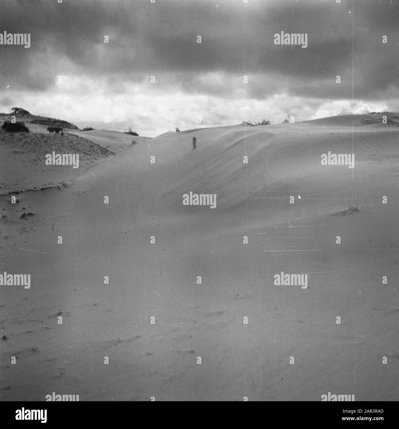 Sand sprains at the coast World War II, destruction, sand drifts Date ...