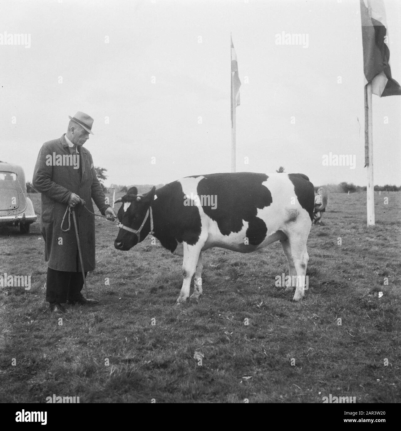 Man and his cow Black and White Stock Photos & Images - Alamy