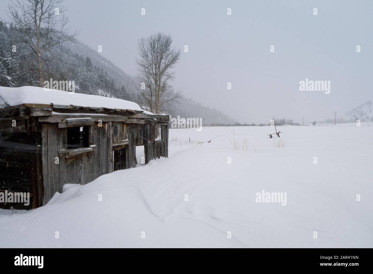 Deep snow drifts pile against an abandoned farm building during a ...