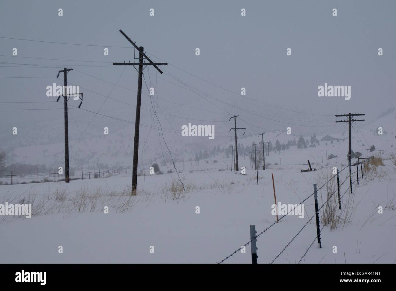 Downed power lines hi-res stock photography and images - Alamy