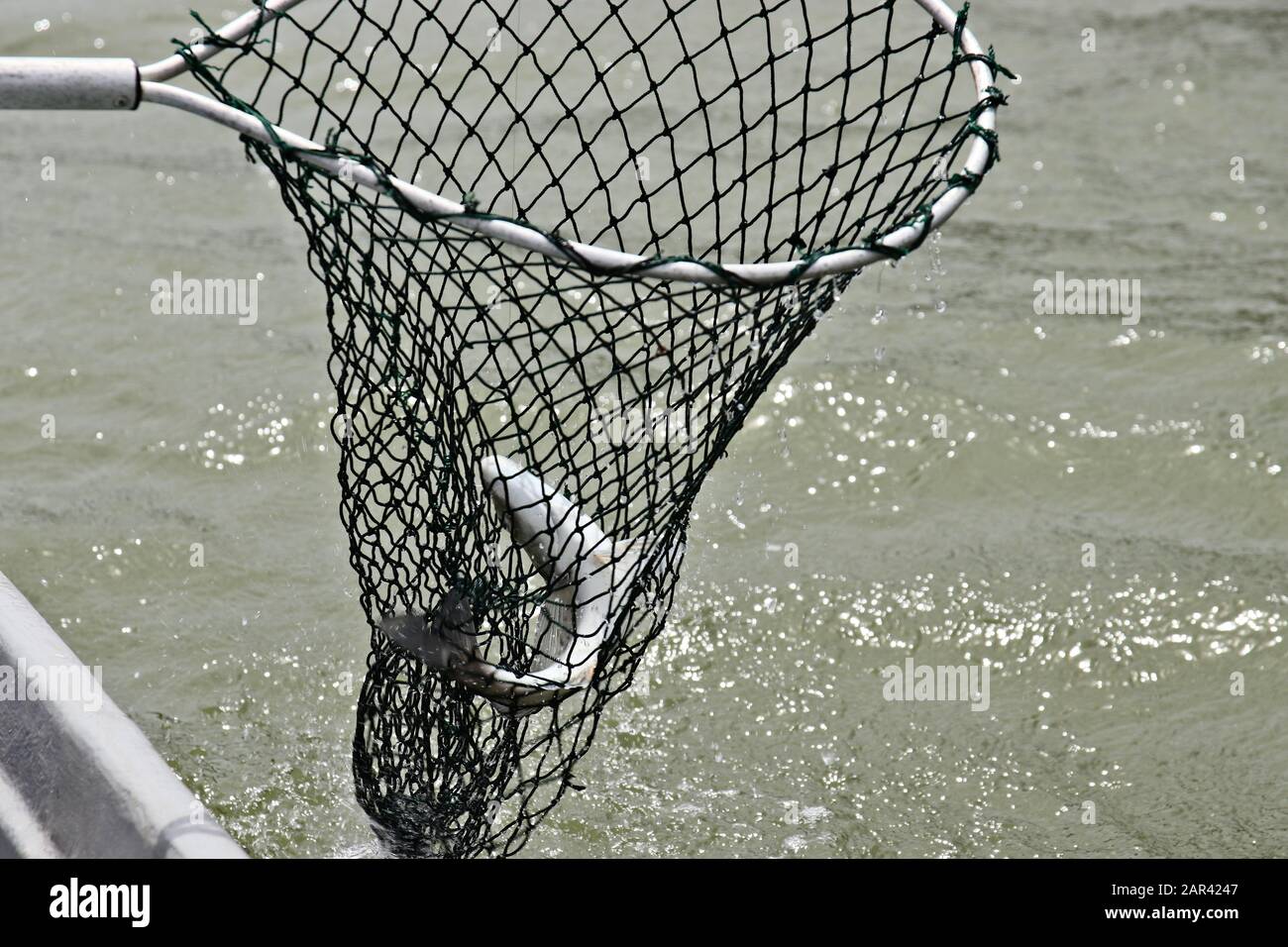 Shunted hi-res stock photography and images - Alamy