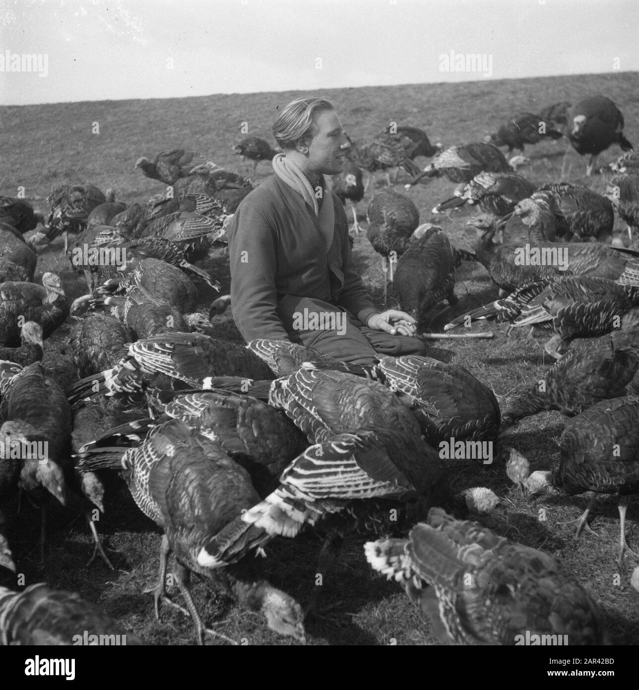 15 october 15 Black and White Stock Photos & Images - Alamy